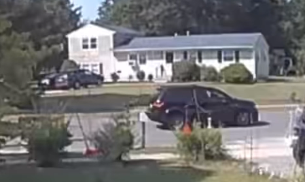 Police Seek Driver involved in a Hit-and-Run that struck Dog ...