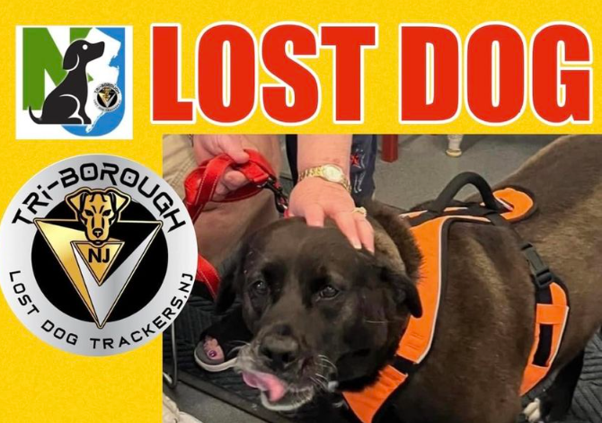 Lost Pets in Ocean County, NJ Update - TomsRiver.org