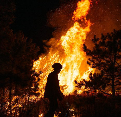 Ocean County Forest Fire Successfully Contained - TomsRiver.org