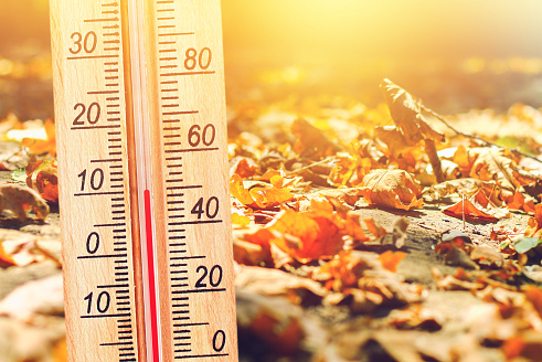 Upcoming Cold Front Expected in New Jersey - TomsRiver.org