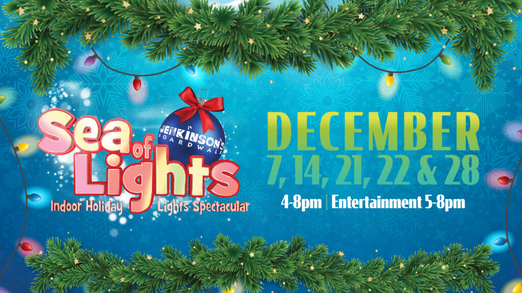 Experience the Magic of the Sea of Lights This Holiday Season ...