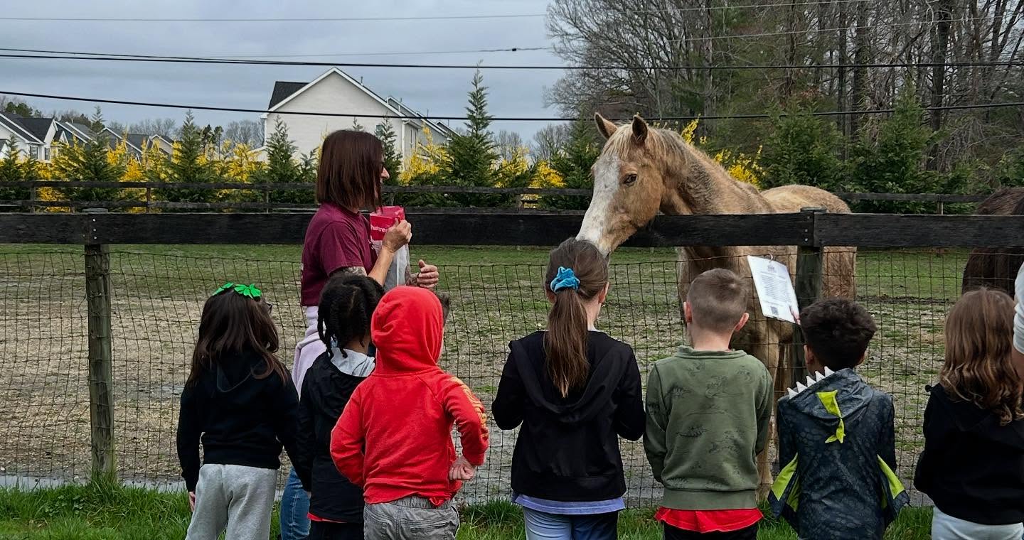 Runaway Farm Turns Three: A Day of Fun, Food, and Festivities ...