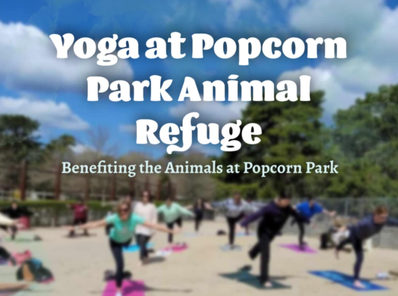 Refresh Your Mind and Body with Sunday Yoga at Popcorn Park - TomsRiver.org