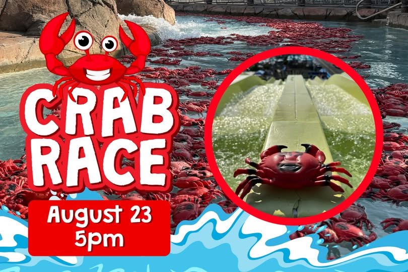 Breakwater Beach Hosts Crab Race for Sloan Kettering Cancer Center ...
