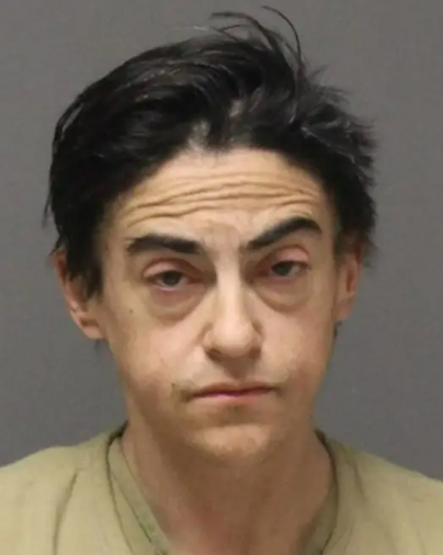 Local Woman Faces Charges After Knifepoint Robbery in Brick - TomsRiver.org