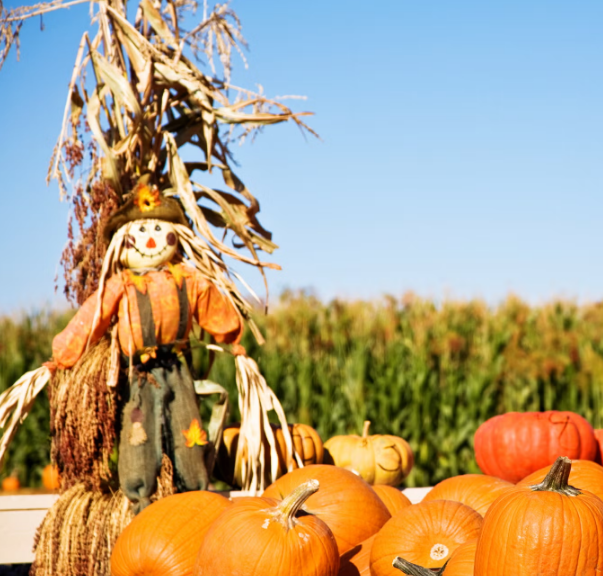 A Guide to Fall Fun for All Ages in Ocean County - TomsRiver.org