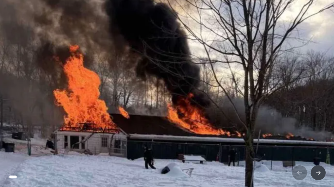 New Jersey Animal Rescue Faces Tragedy After Losing Six Dogs in Fire ...