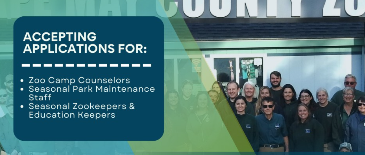 Now Hiring: Zoo Camp Counselors and Seasonal Staff at Cape May Park ...
